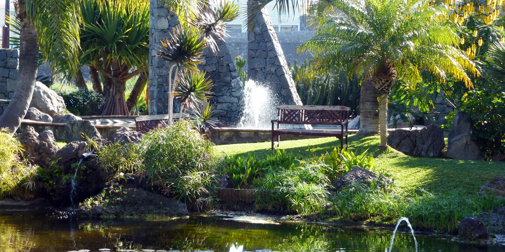 KanarenExpress: Un oasis para todos los sentidos con Tenerife Verde ...